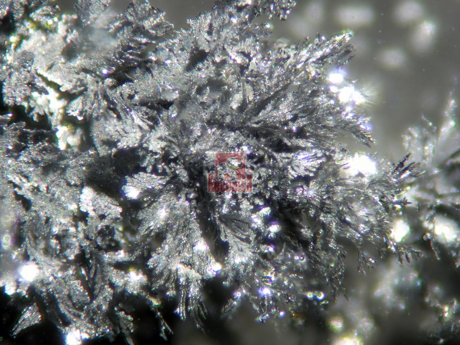 Precio del Plomo: consulte su Cotización | El Chatarrero